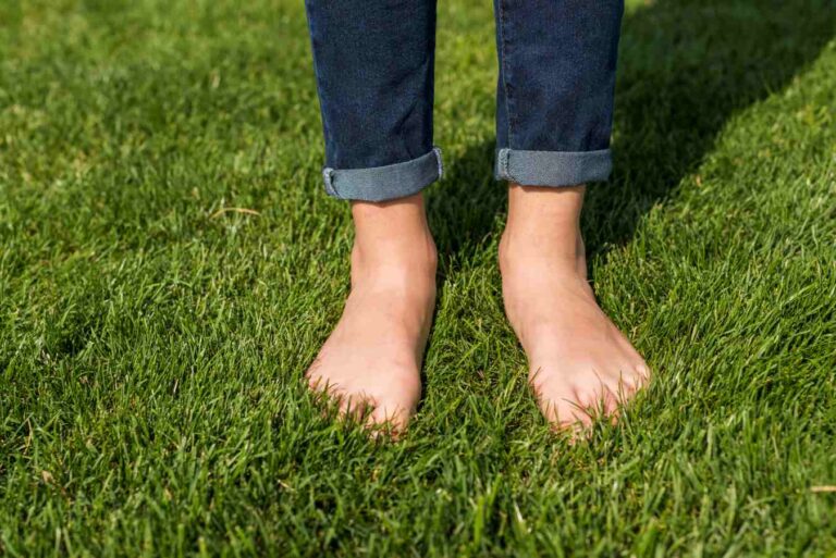 Parts of The Foot: Hindfoot, Midfoot, & Forefoot